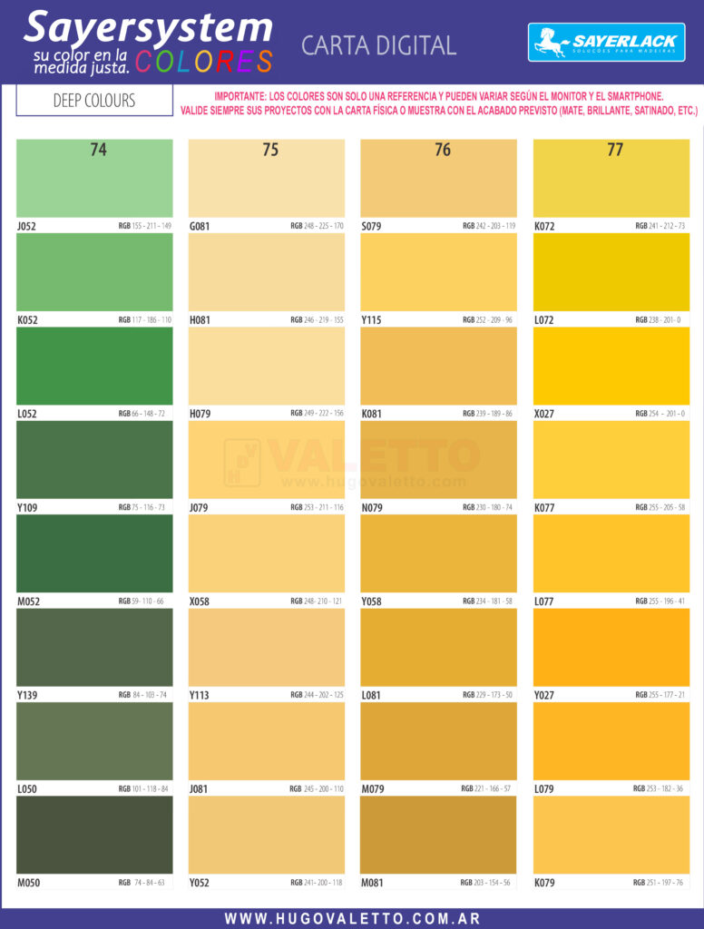 Carta de colores Sayersystem - Hugo Valetto